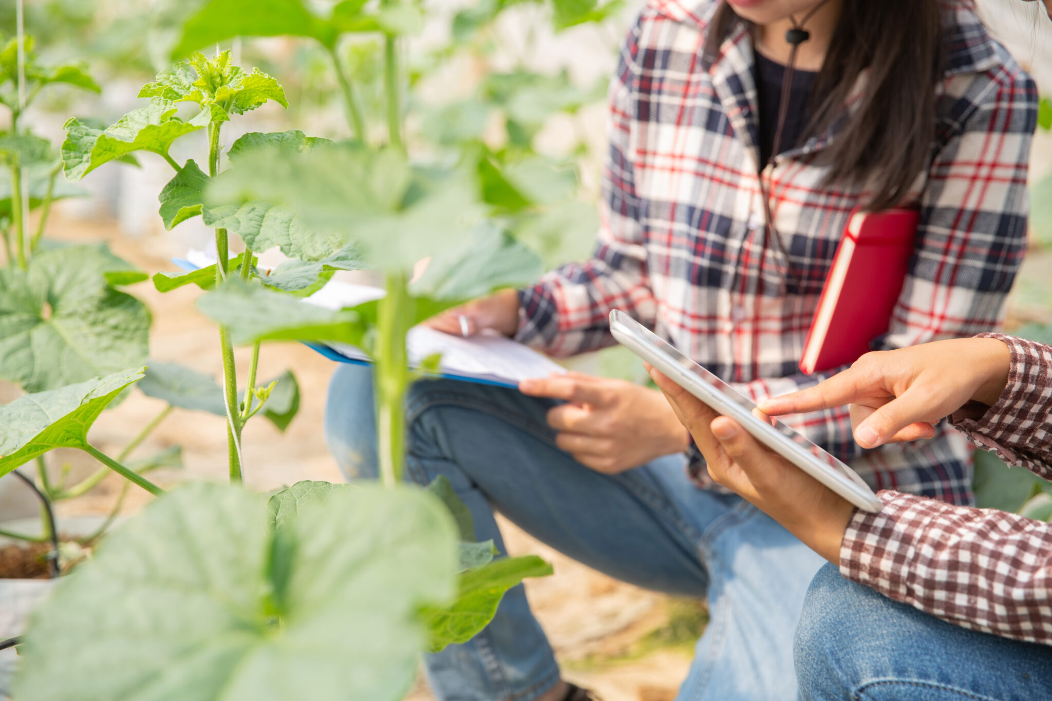NC Ag Leads Update: Where We Are and What’s Next